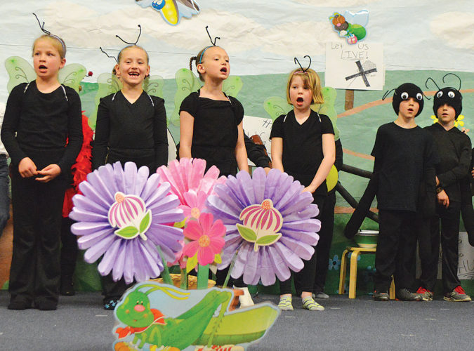 ‘Goin’ Buggy’ | News, Sports, Jobs - Marshall Independent